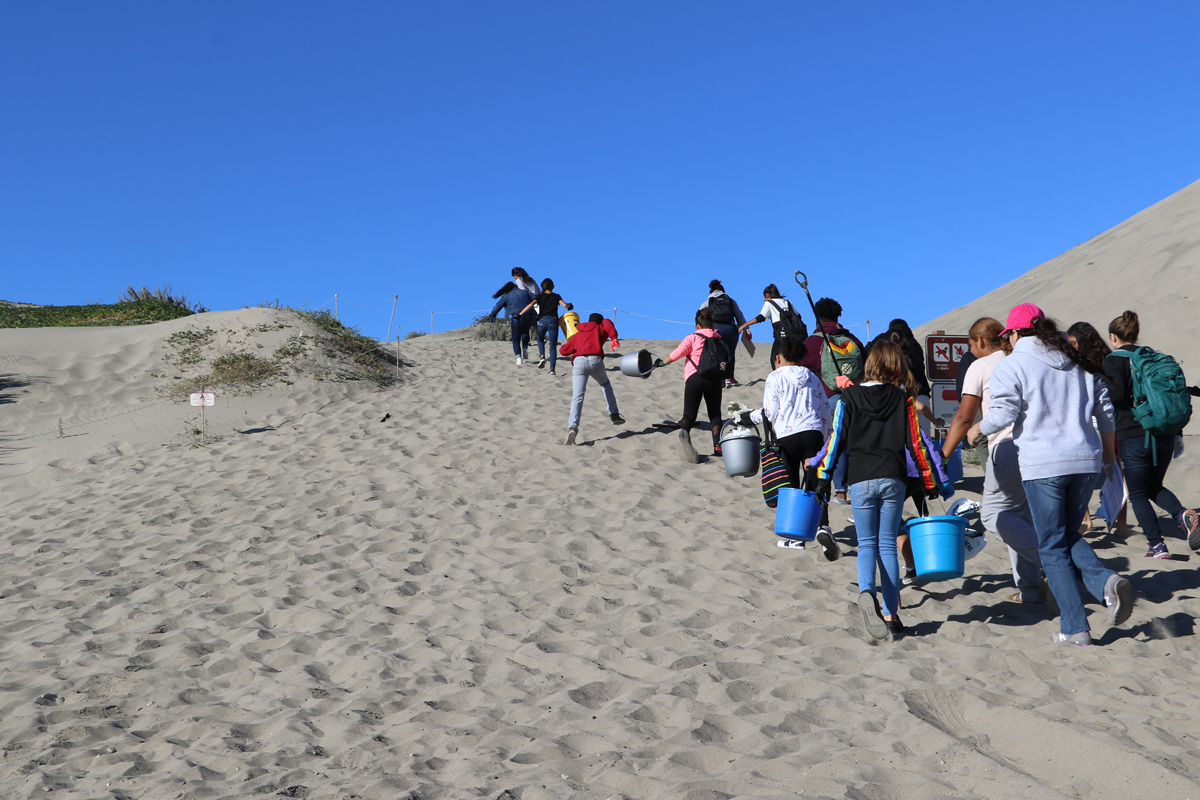 Beach Cleanups – Save Our Shores